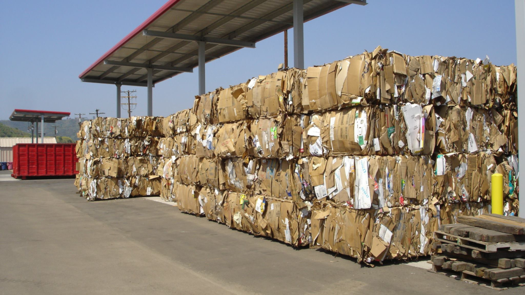 Proper Medical Waste Processing for Safe Disposal
